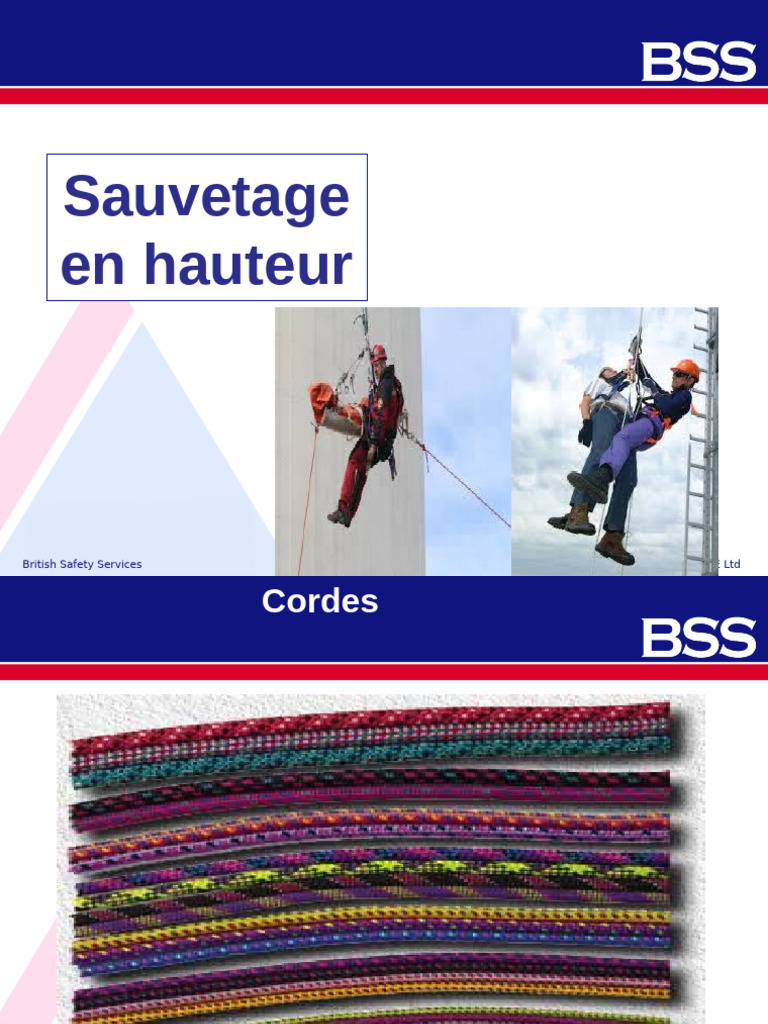 BSS Algeria PPT Template | PDF