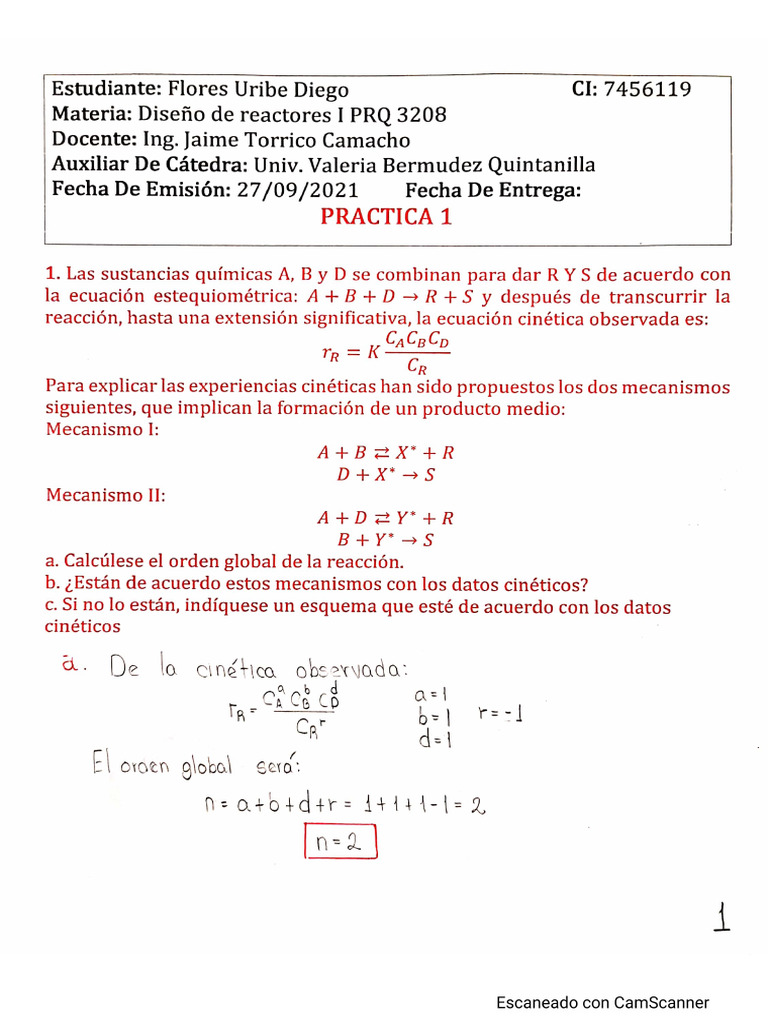 P1-FloresUribeDiego | PDF