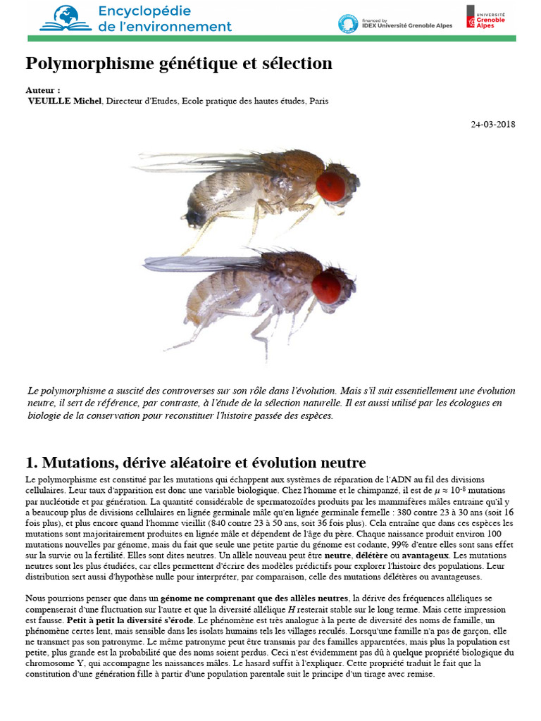 Polymorphisme Genetique Et Selection Encyclopedie Environnement | PDF ...
