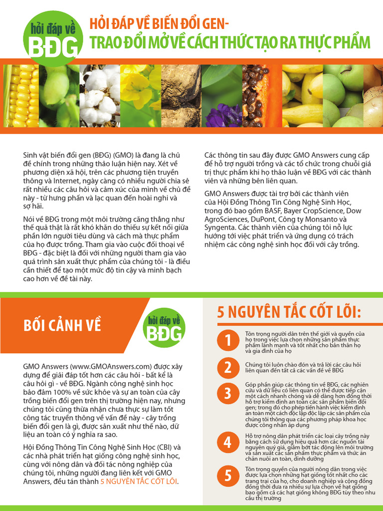 GMO 10crops July2015 A4 VI HiRes | PDF