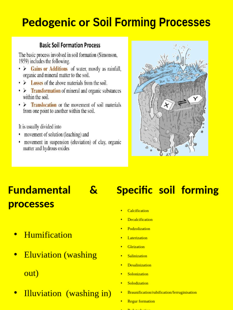 7-Soil Forming Processes | PDF | Soil | Earth Sciences