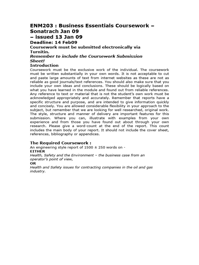 Business Essentials Coursework Guide | PDF