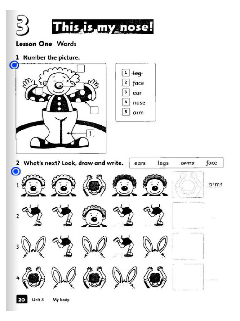 Homework 2 Pdf