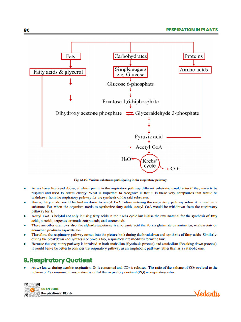 RQ and PGD | PDF