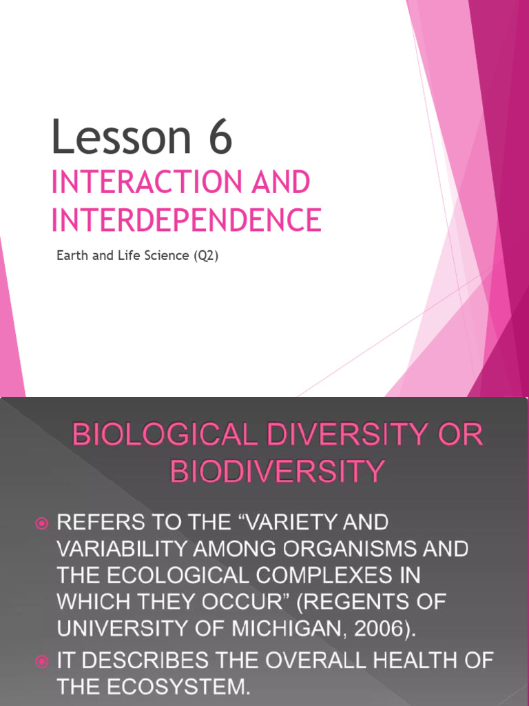 EL Q2 Lesson 6 | PDF