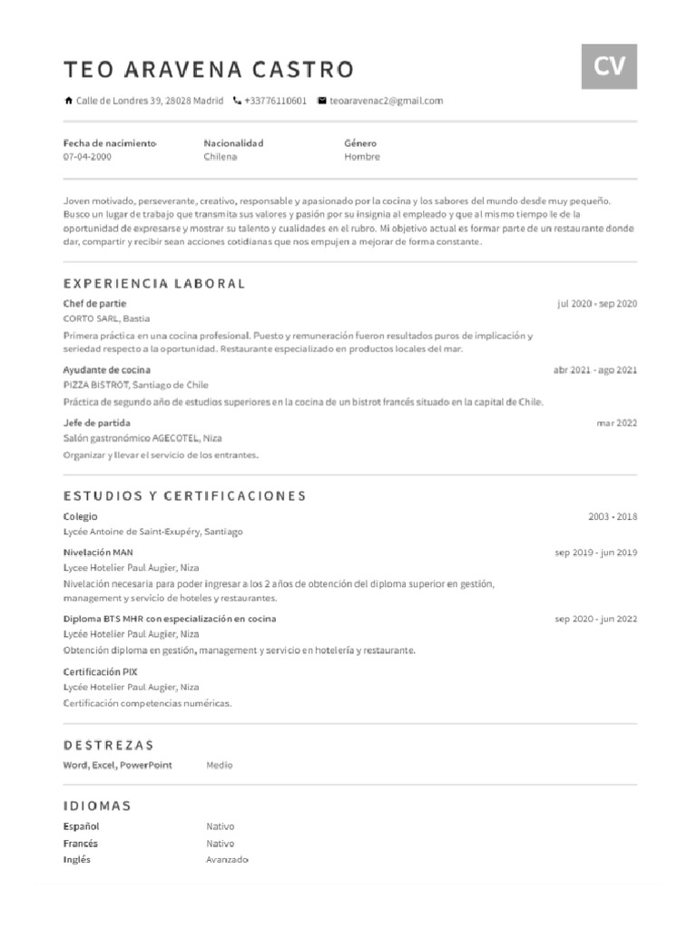 CV Teo Aravena C | PDF