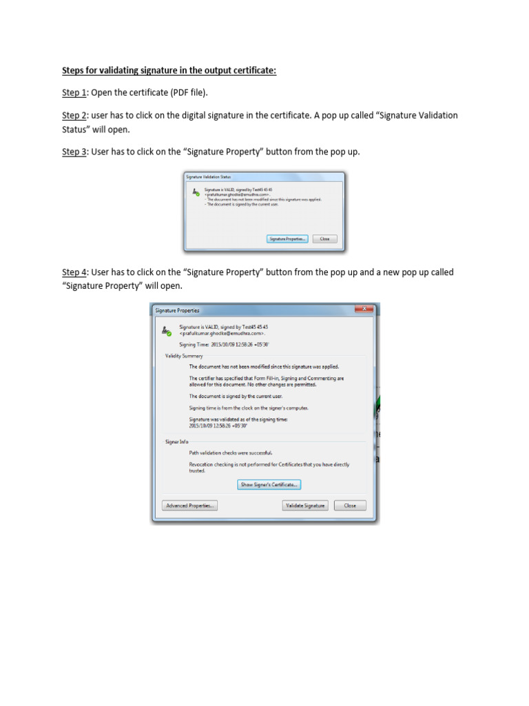 Steps For Validating Digital Signature in Output Certificate | PDF