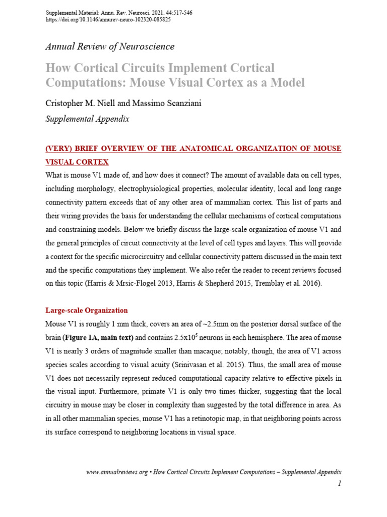 517_546s | PDF | Visual Cortex | Cerebral Cortex