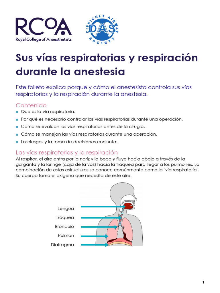 YourAirway2023 Spanish | PDF | Respiración | Sistema respiratorio