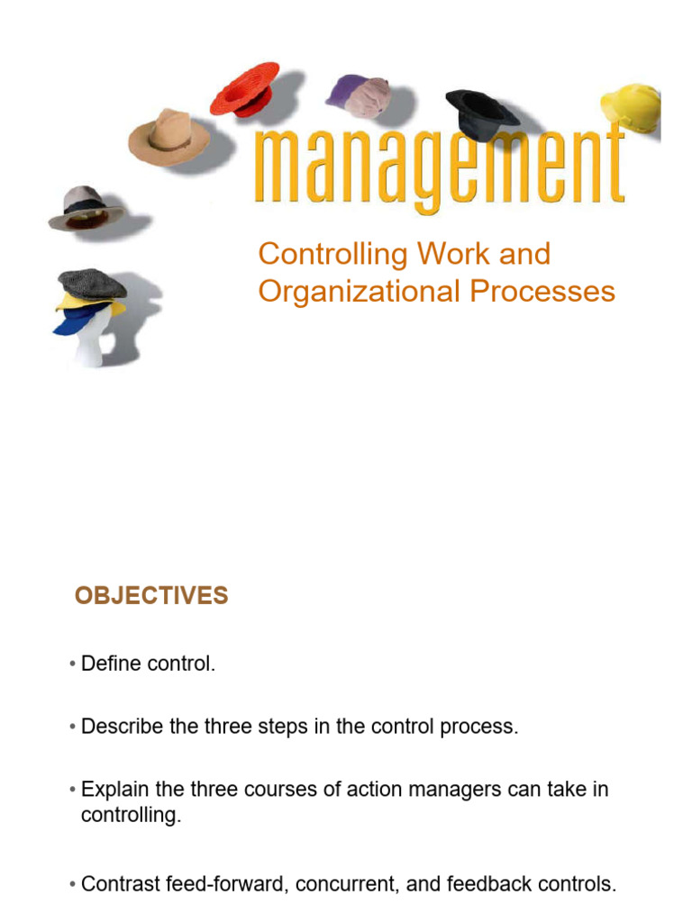 Controlling Work and Organisational Processes (Compatibility Mode) | PDF