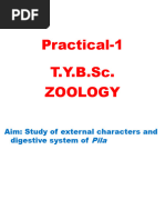 Functions and Composition of Succus Entericus | PDF | Digestive System ...