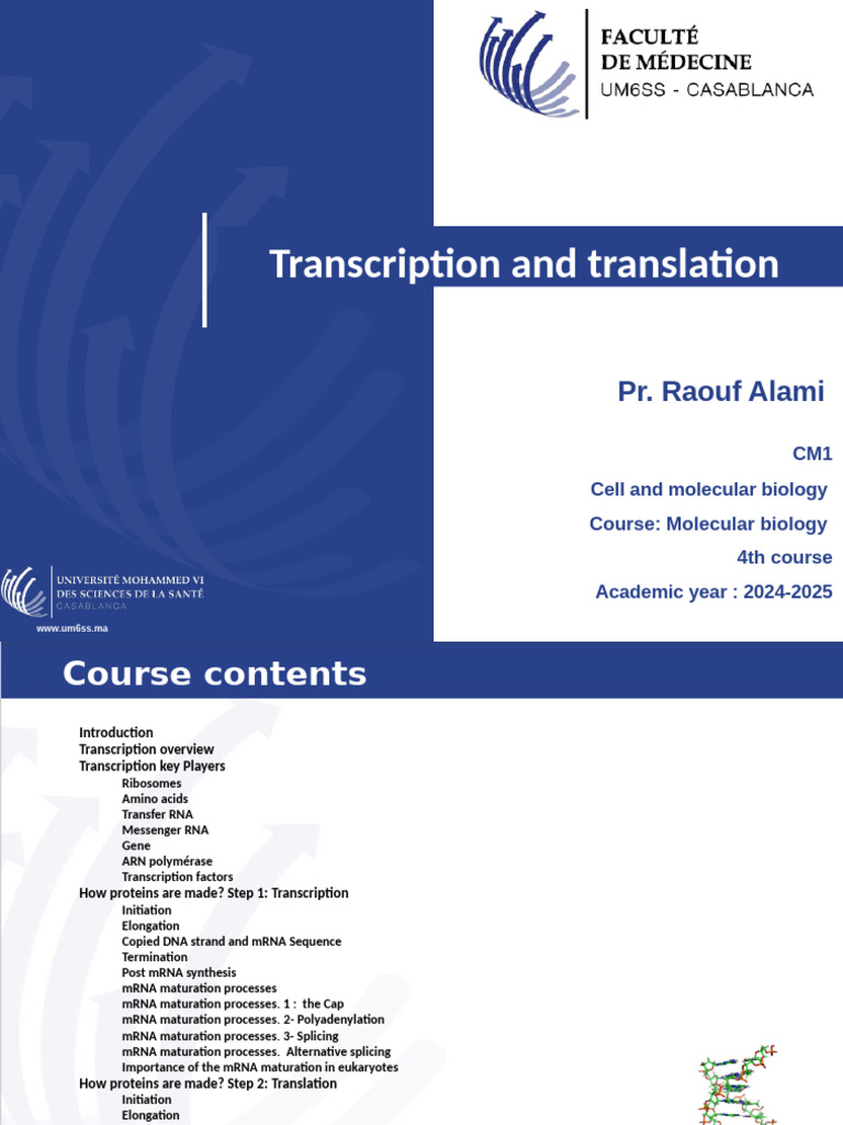 Transcription and Translation in Biology | PDF | Translation (Biology ...