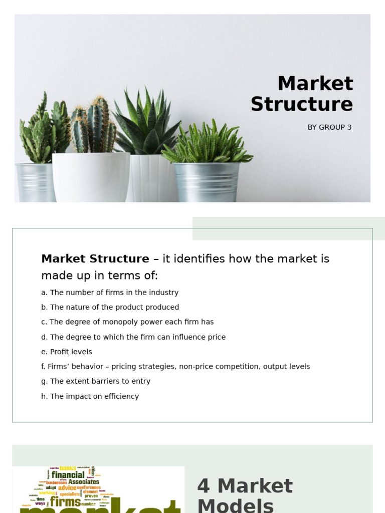 Basicmicro Group 3 Presentation | PDF | Monopoly | Oligopoly