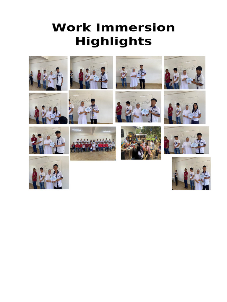 Work Immersion Highlights CULMINATING 1 | PDF