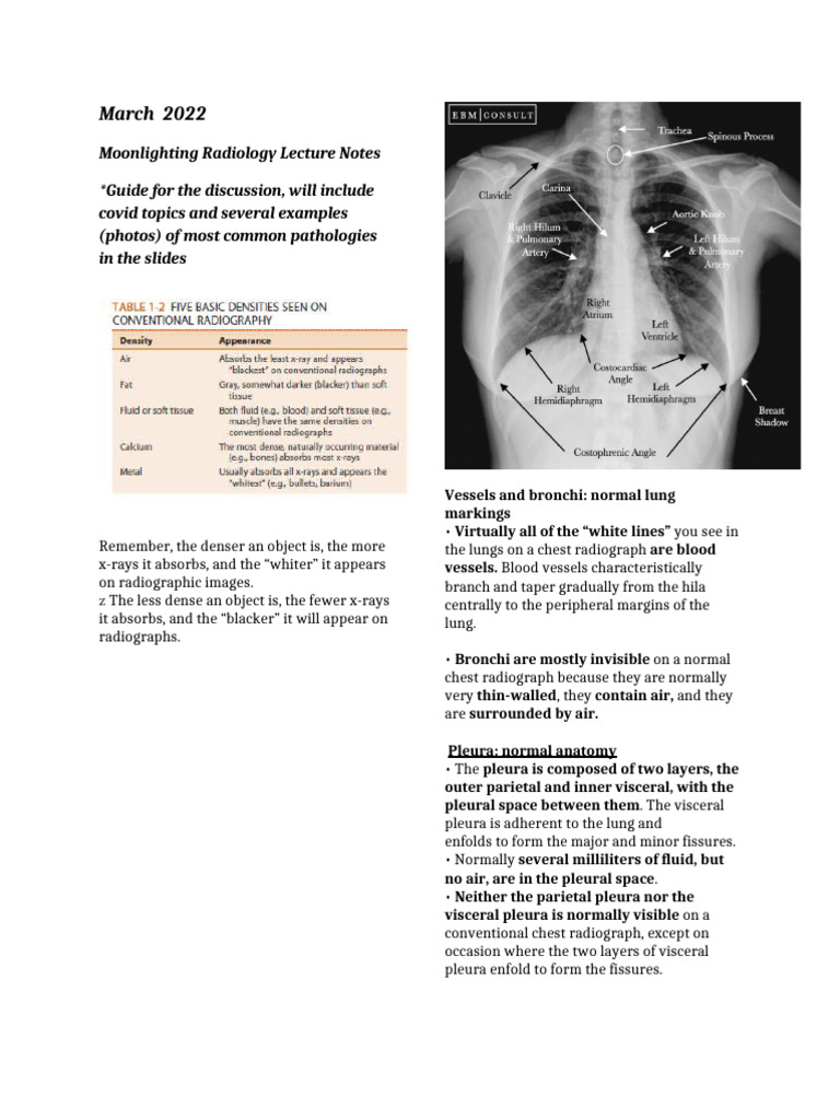 CDB Handout Moonlighting Radiology | PDF | Medical Specialties ...