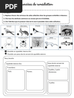 Classification Des Êtres Vivants 6ème Exercices | PDF | Espèces | Tigre