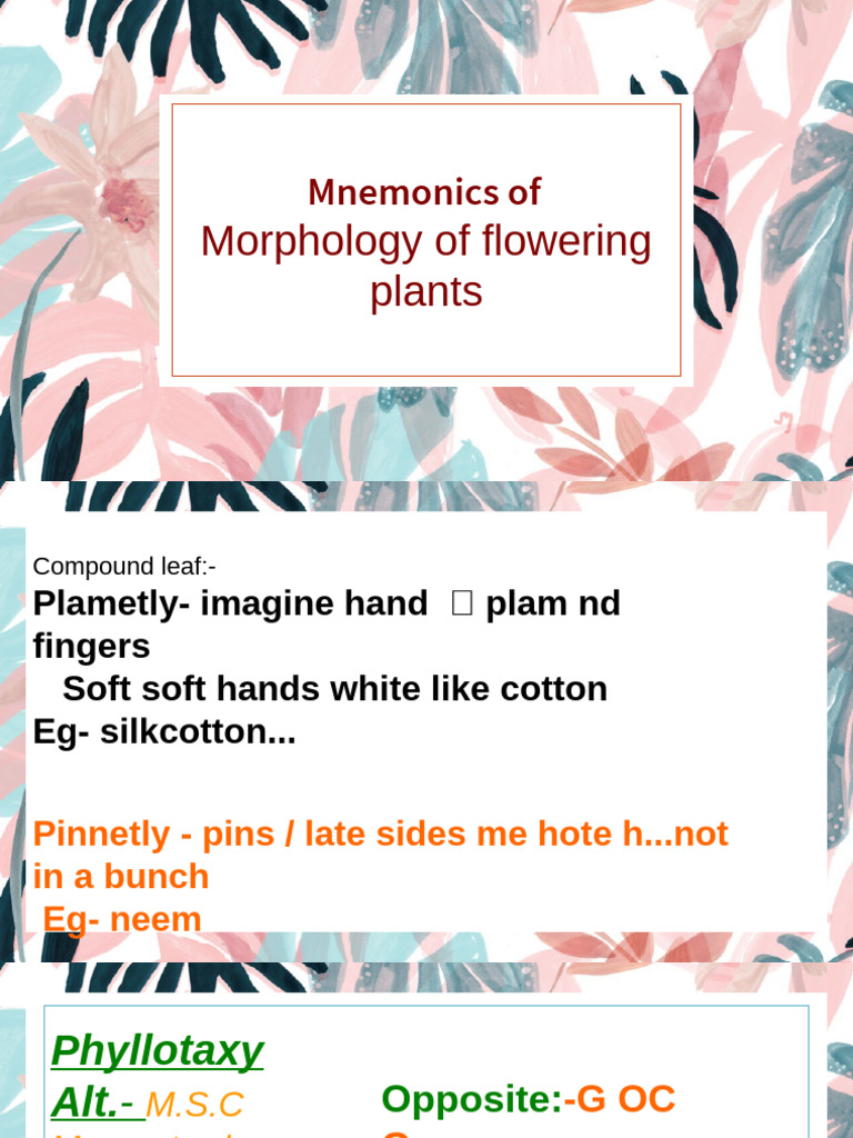 Mnemonics for Flowering Plant Morphology | PDF