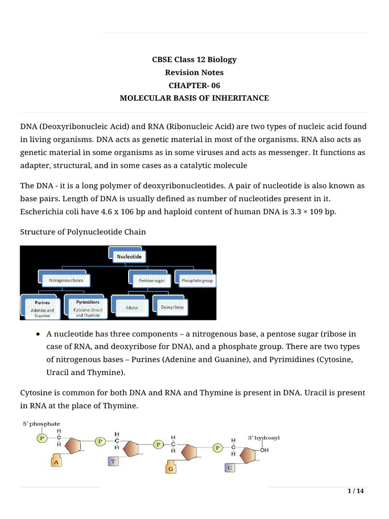 Molecular Inheritance NOTES | PDF | Dna | Rna