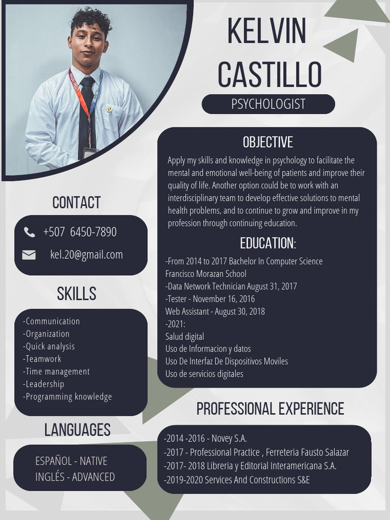 Professional CV Kelvin Castillo-2 | PDF