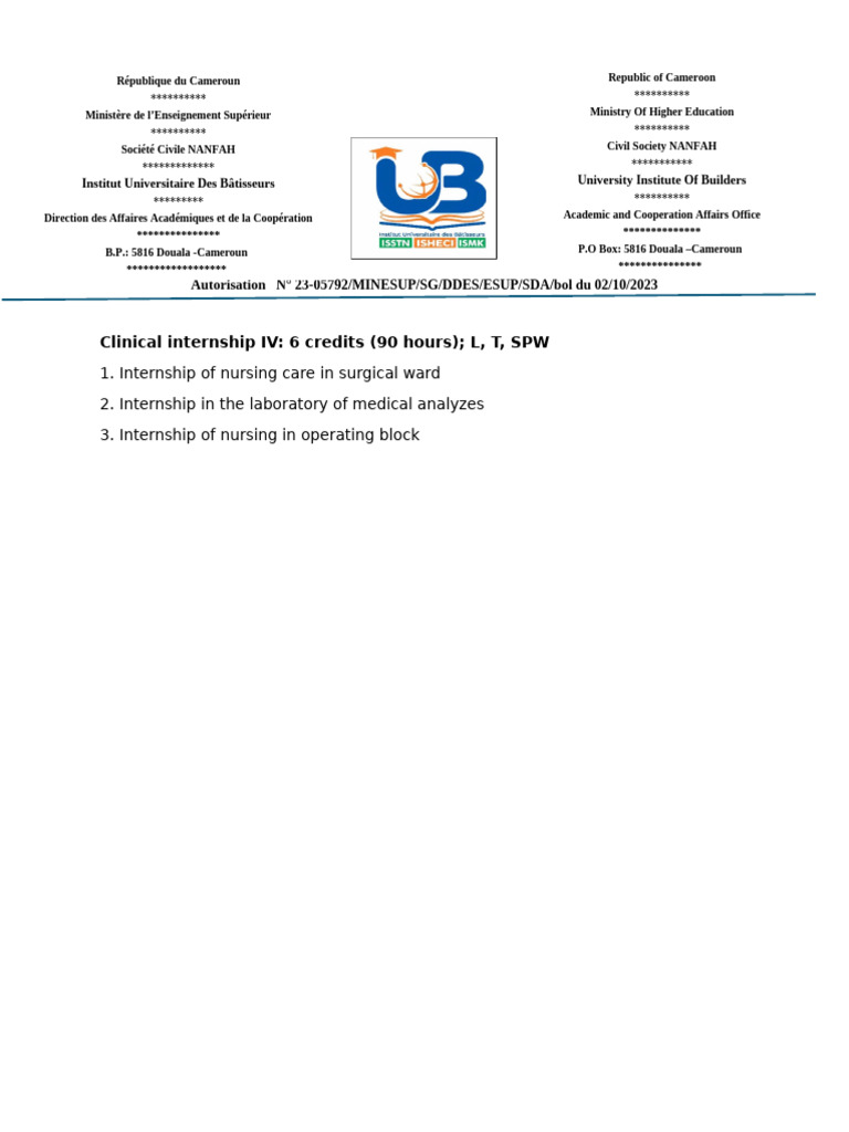 Nursing Clinical Internship Guide | PDF