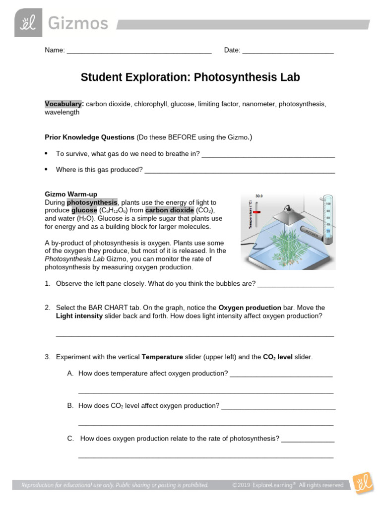 Photosynthesis Lab Gizmo Exploration | PDF | Photosynthesis | Carbon ...