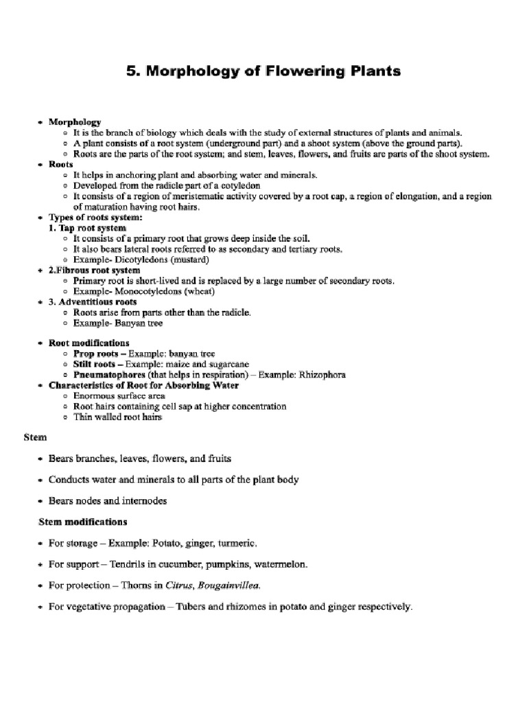 8) Morphology of Flowering Plant | PDF