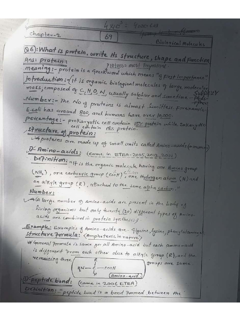 Protein Details and Simple Form Prepared by M G | PDF