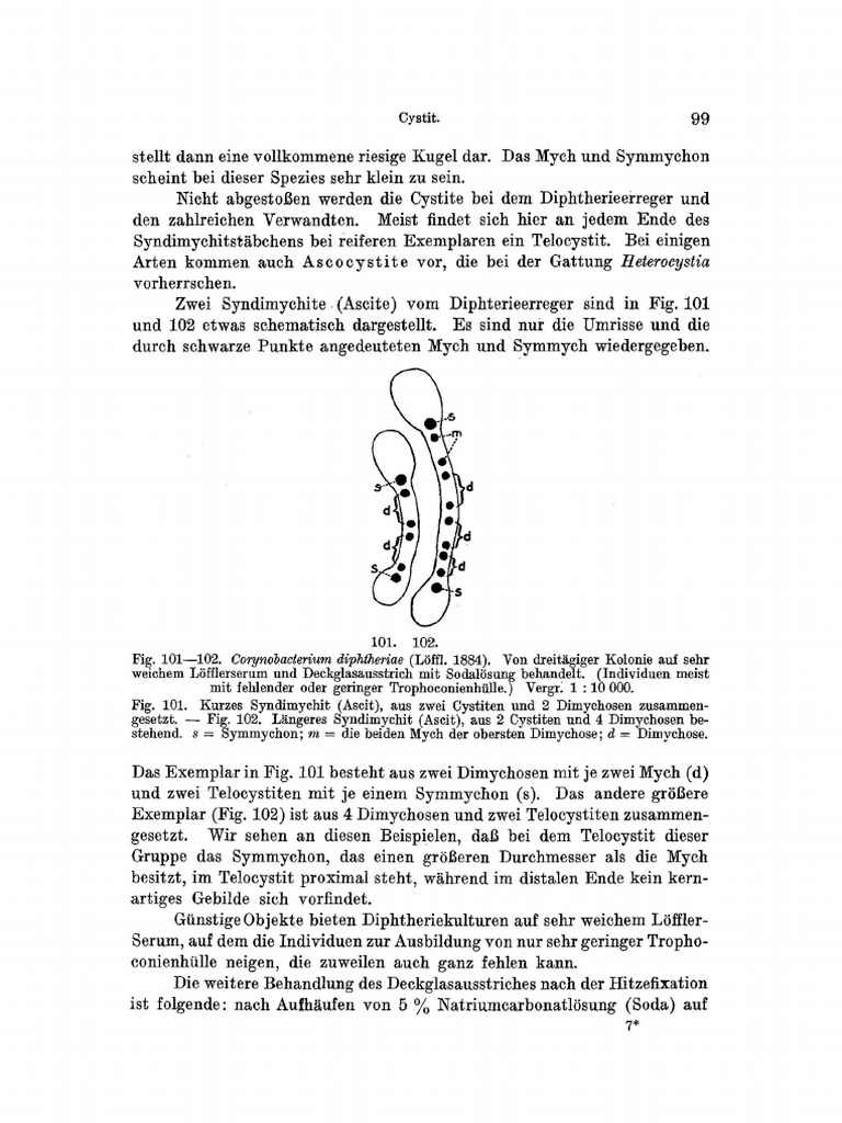 BC 2- English PDF | PDF | Bacteria | Species