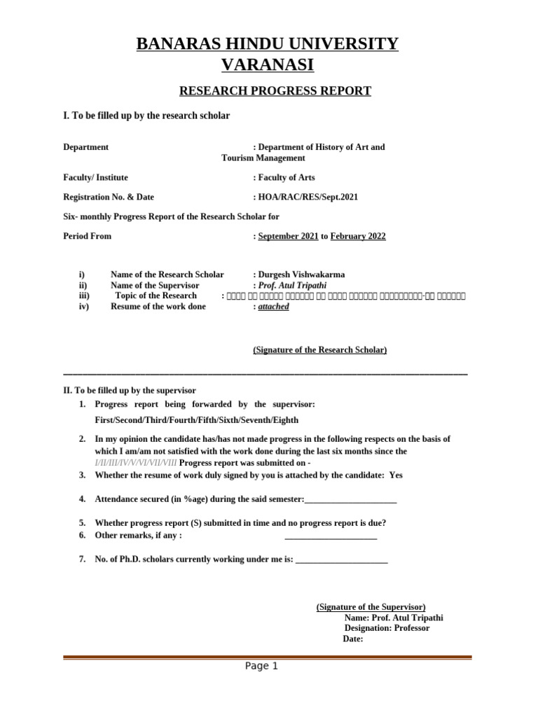 BHU Research Progress Report: Art History | PDF