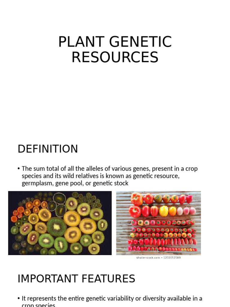Plant Genetic Resources | PDF | Botany | Plants