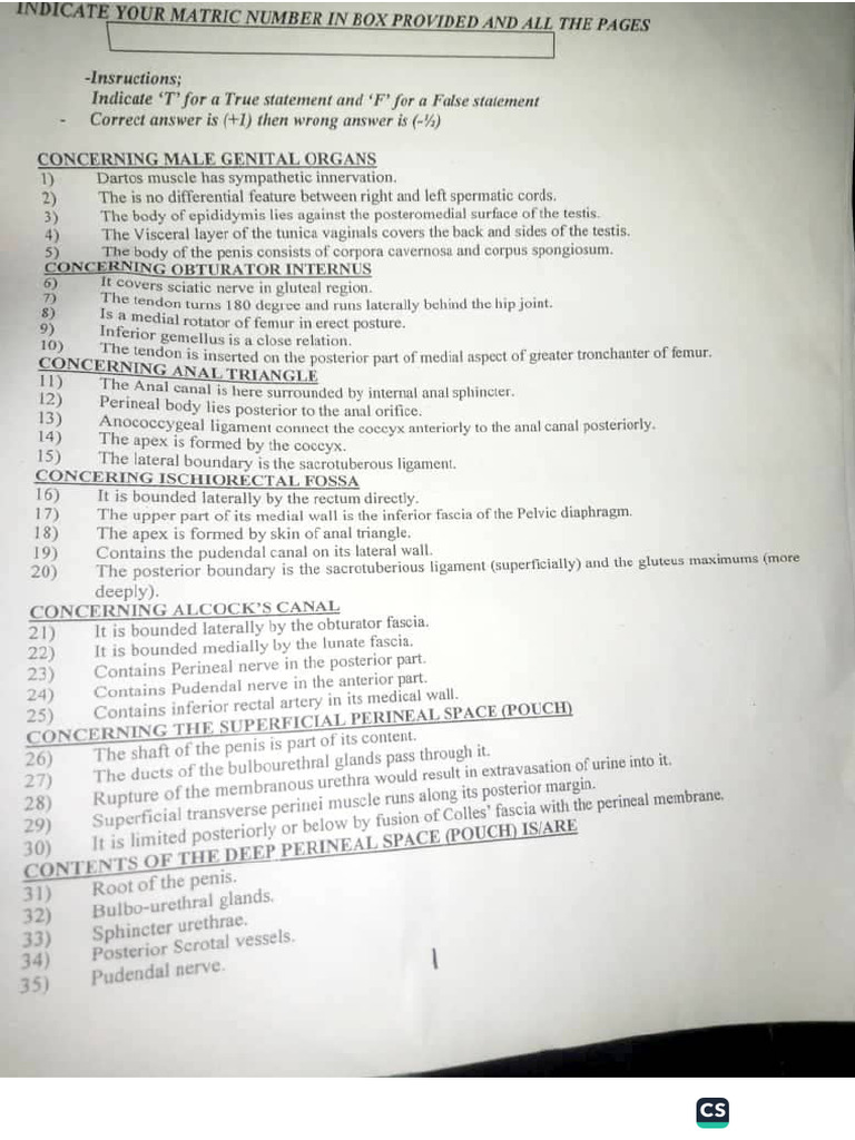 Pelvis and Perineum Incourse-1-1 | PDF