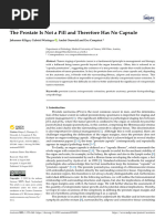 Prostate Fossa Contouring Guide | PDF | Prostate | Urinary Bladder