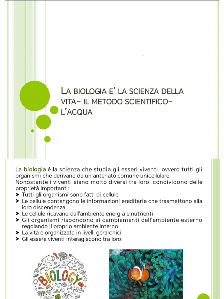 Scienze x Chuara 3 | PDF