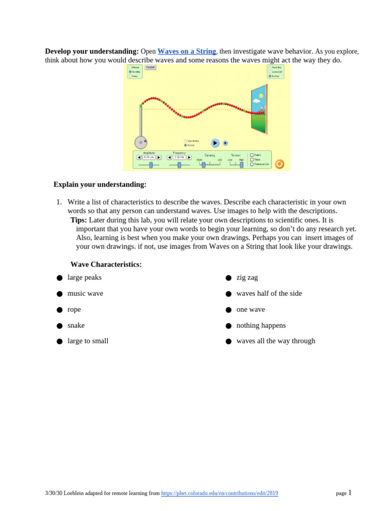 Waves On A String Remote Lab Student Assignment | PDF | Waves | Damping