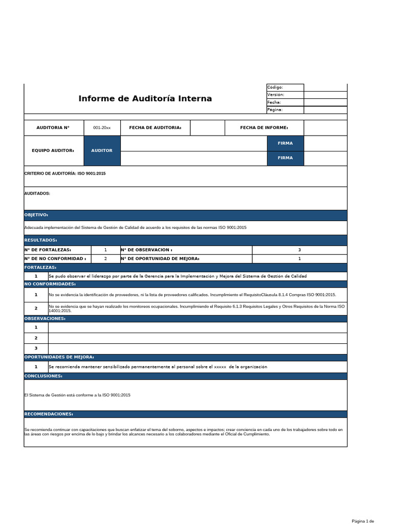 Informe de Auditoria Interna | PDF | Auditoría | Business