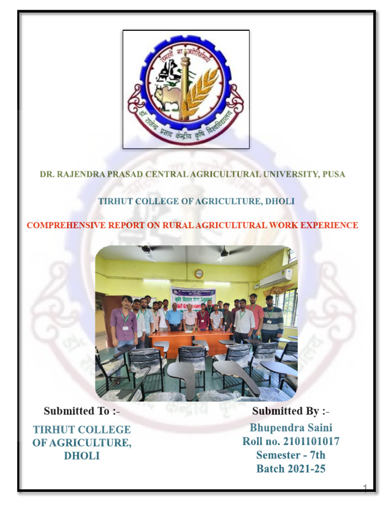 Example :rawe Report | PDF