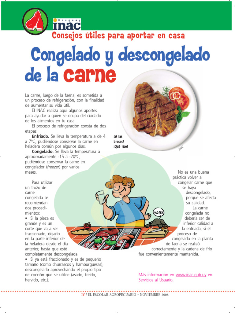 Inac Nov08 | PDF | Carne | Preparación de comida y bebida