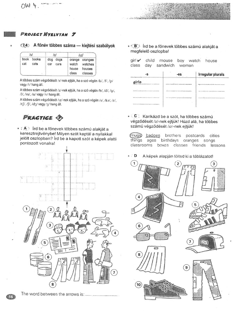 Project 1 Unit 1 Plurals | PDF