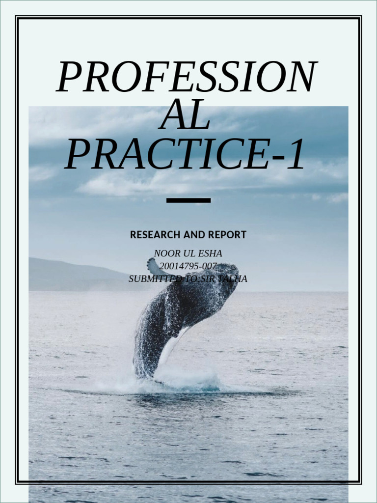 Professional Practice Me Myself | PDF | 3 D Computer Graphics ...