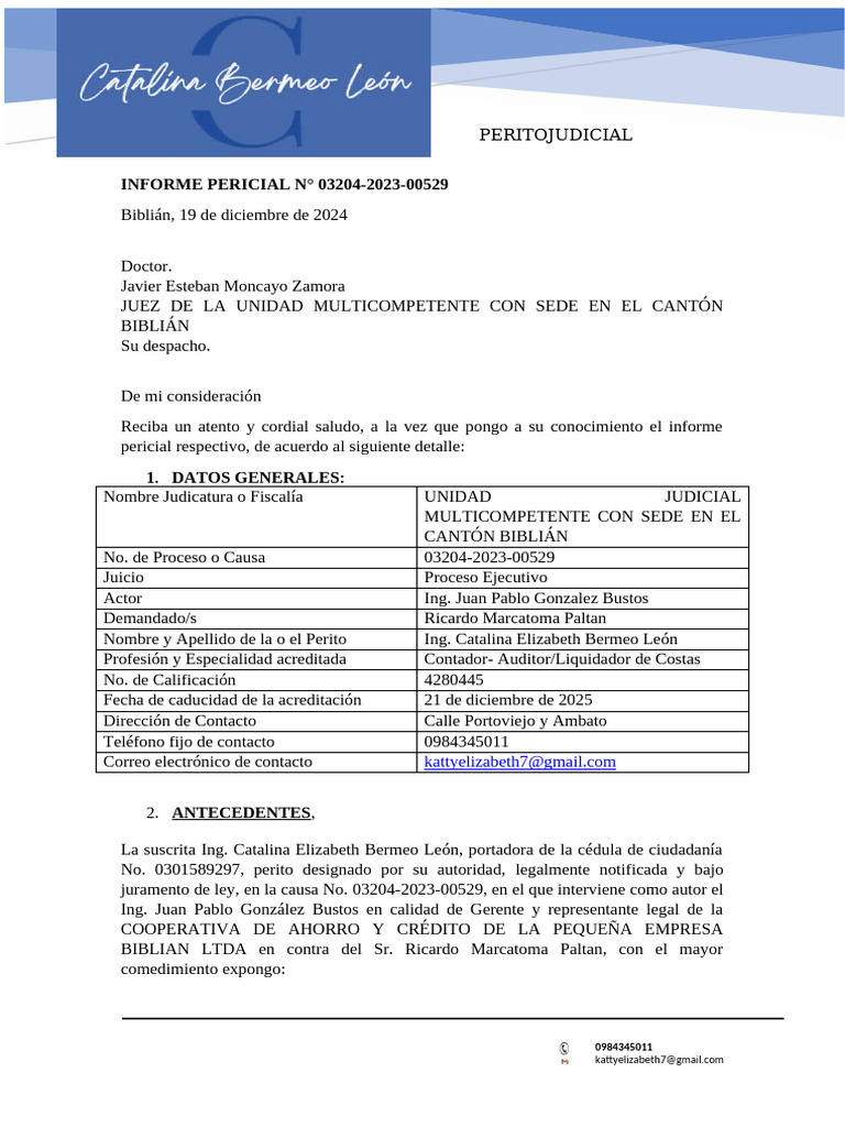 Informe Pericial N°03204-2023-00529 | PDF | Testigo experto | Interés
