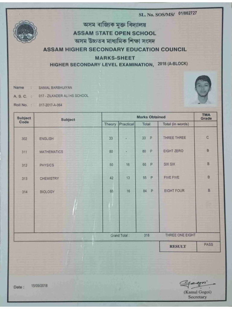 Hs Marksheet Sanial | PDF