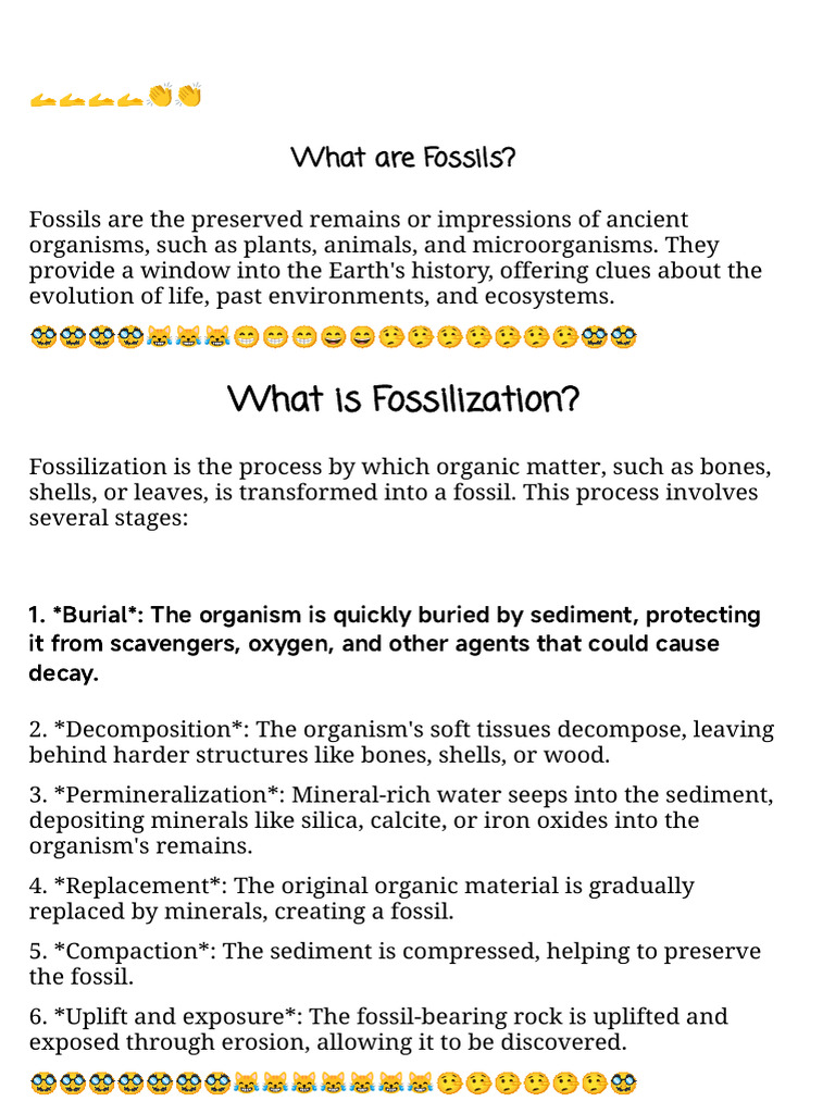 Understanding Fossils and Fossilization | PDF