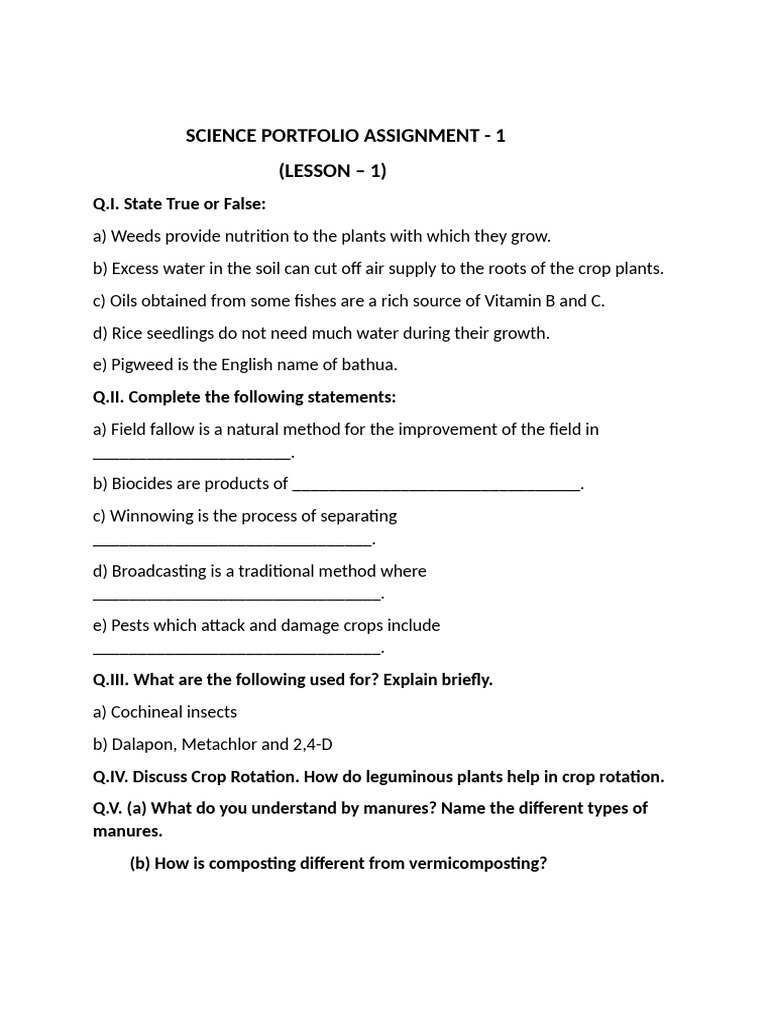 Portfolio Assignment 1 | PDF