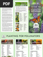 Bee Swarm Simulator Nectar Guide | PDF | Bees