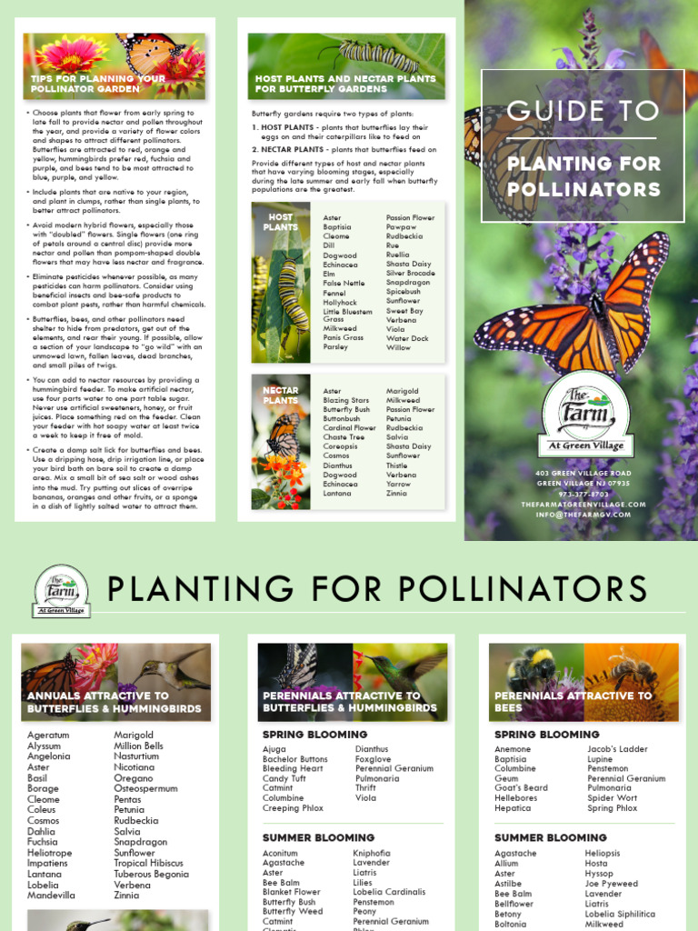 Planting-for-Pollinators-1 | PDF | Pollinators | Flowers