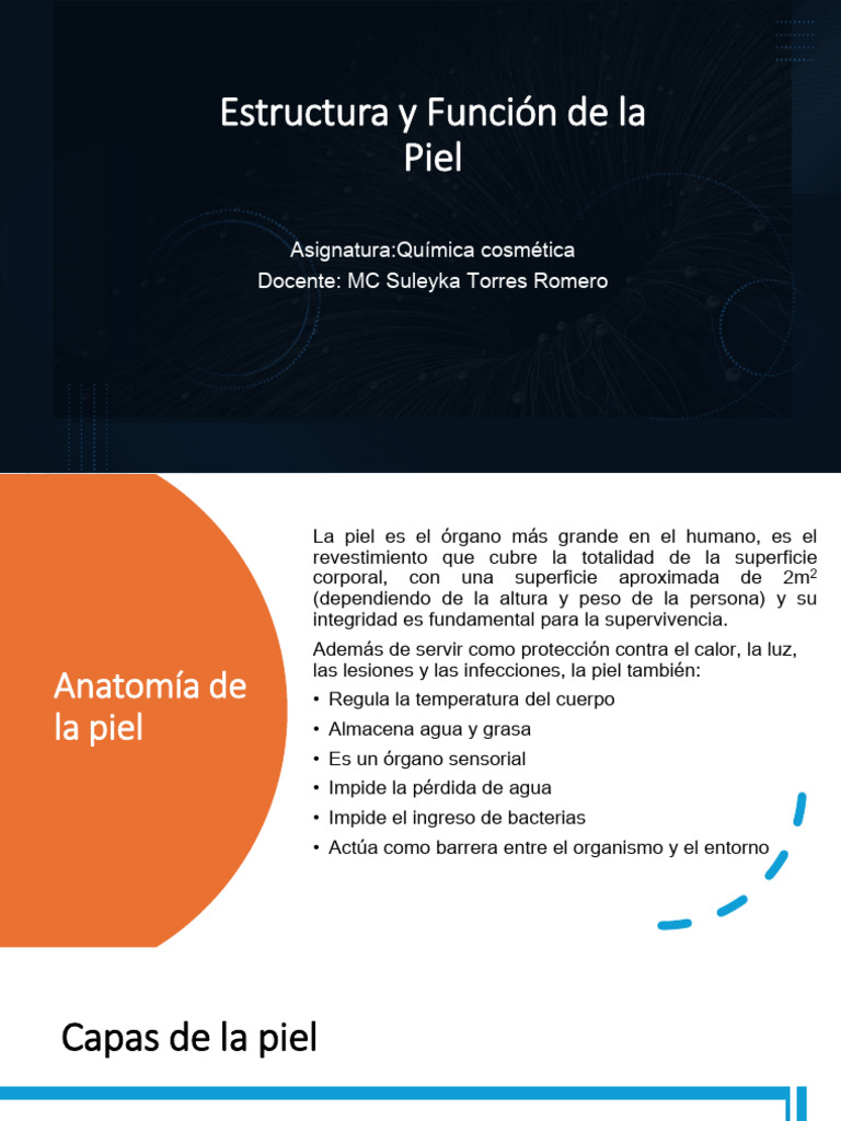 Estructura y Funcion de La Piel | PDF | Piel | Epidermis