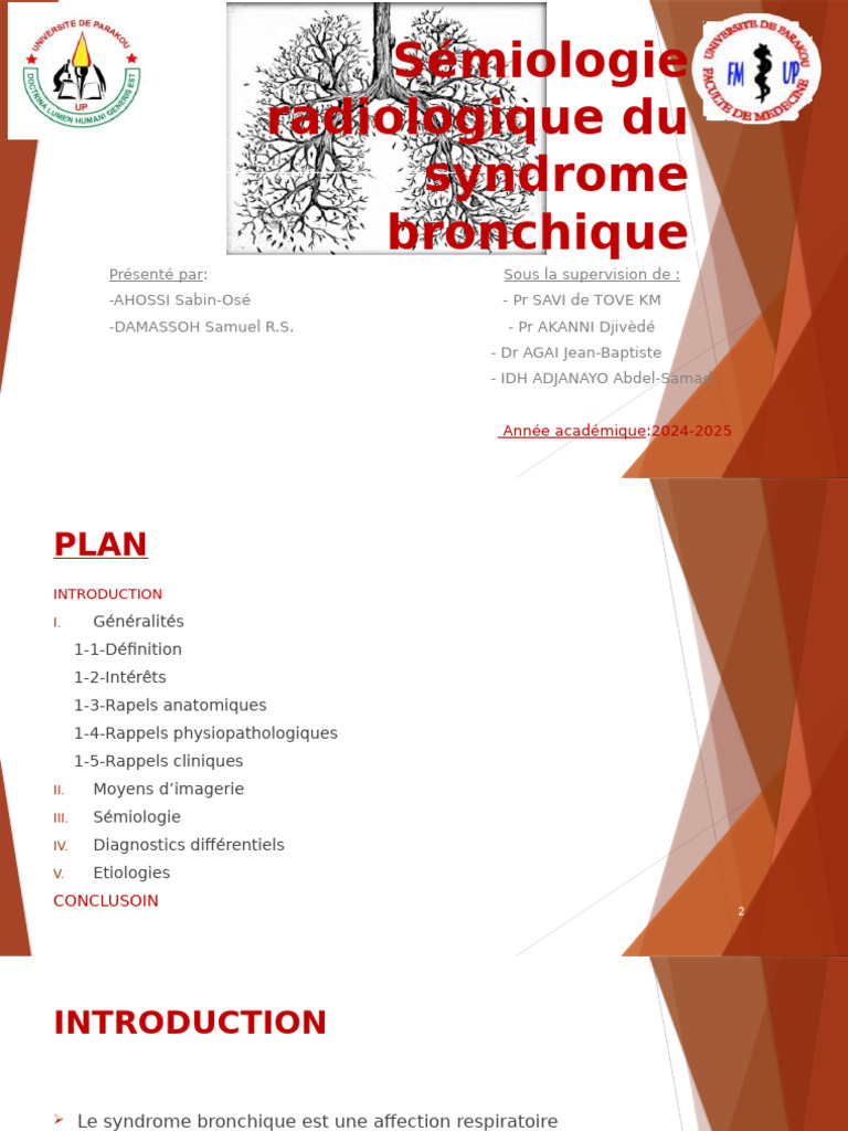 Sémiologie Radiologique Du Syndrome Bronchique Corrigé | PDF | Poumon ...