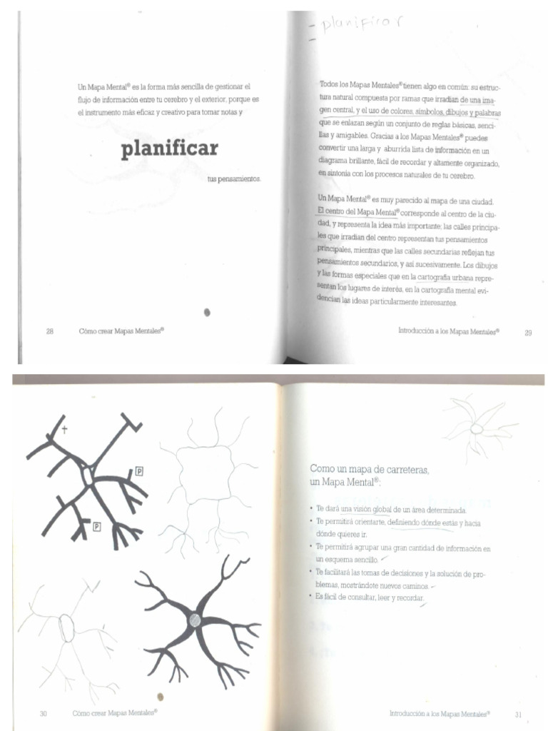 COMO SE HACE UN MAPA MENTAL | PDF