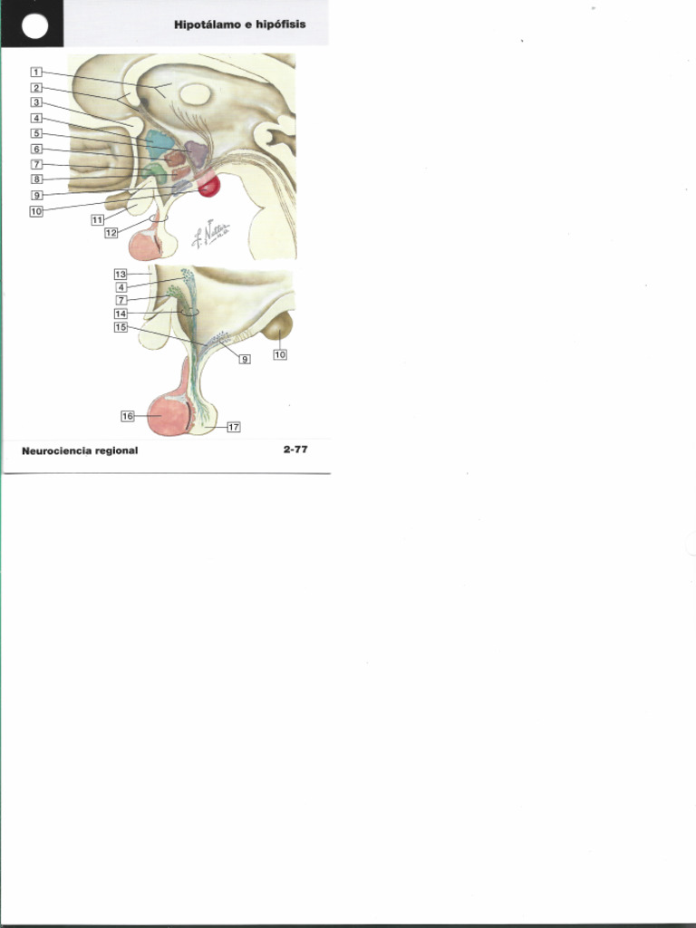 Escáner_20240519 (3) | PDF