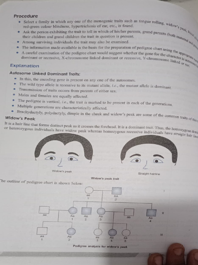 Class 12 Lab Manual Biology Practical | PDF